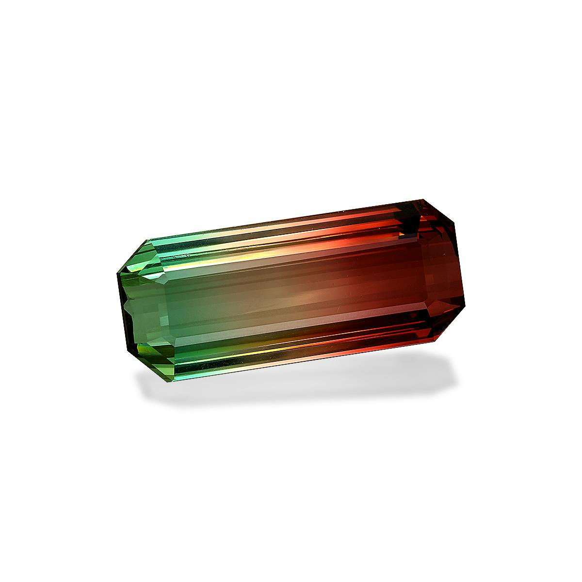 Bi Color Tourmaline | Watermelon Tourmaline Gemstone Online Best Price