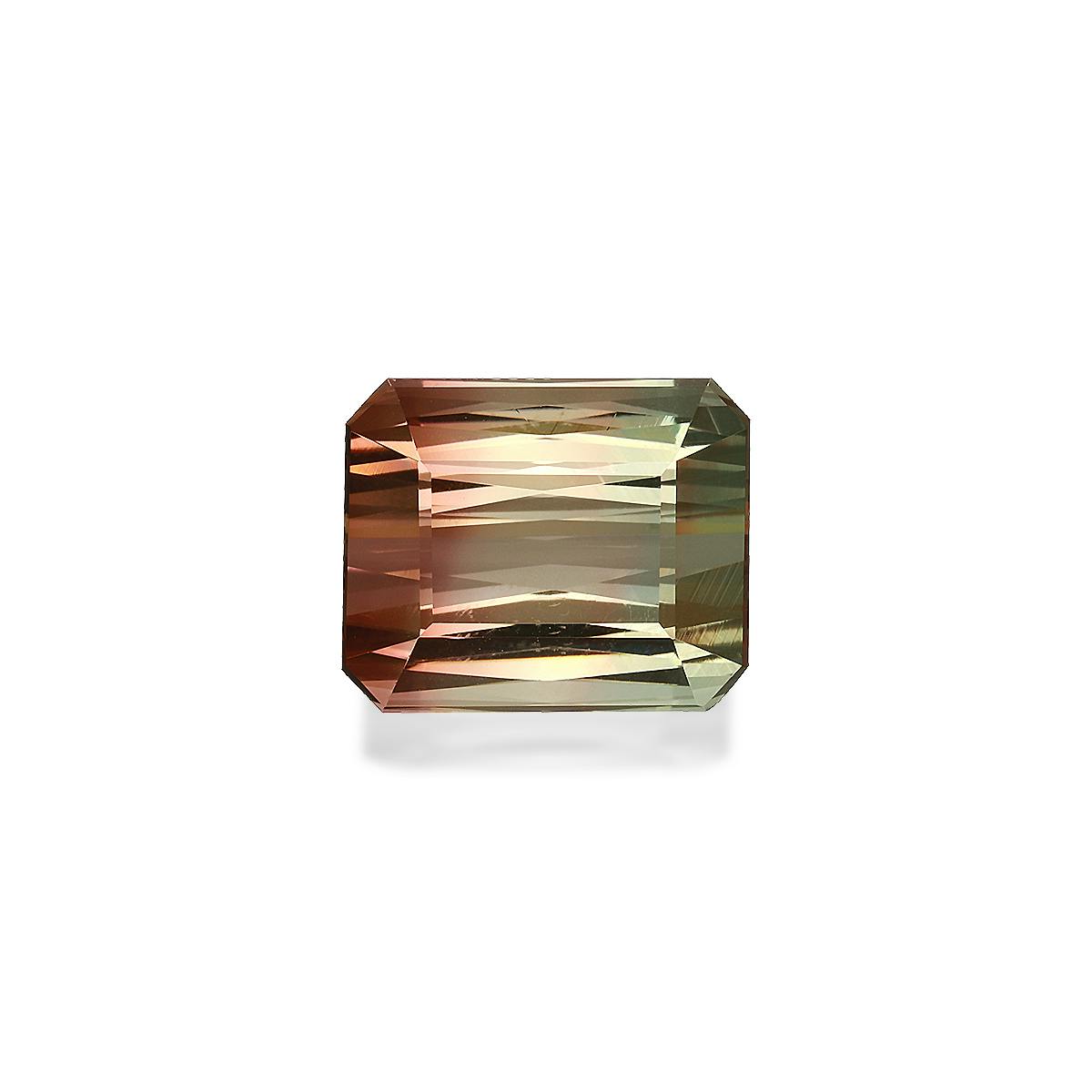 Bi Color Tourmaline | Watermelon Tourmaline Gemstone Online for Sale