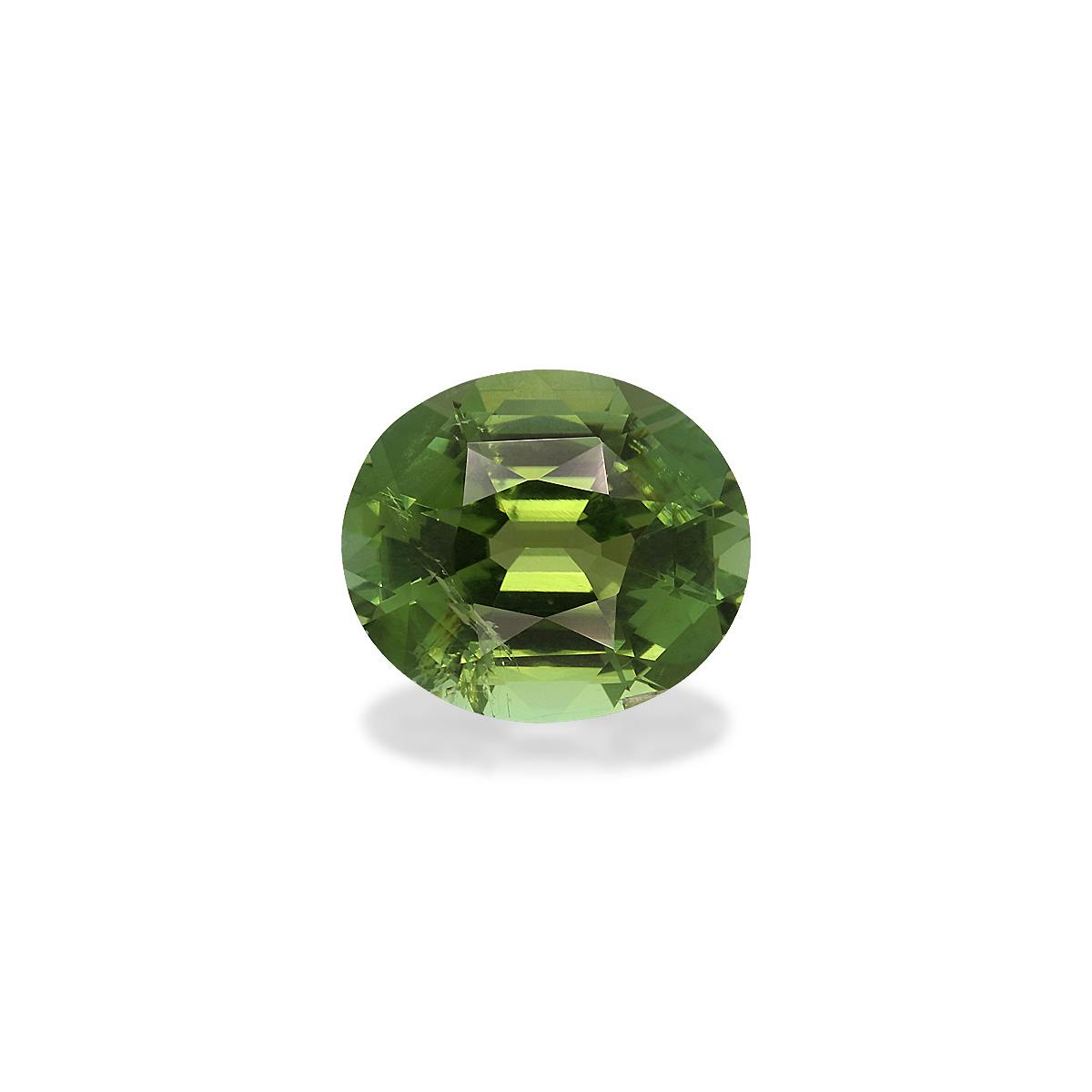 TG0430 : 20.72ct Seafoam Green Tourmaline Emerald Cut 142$ per carat